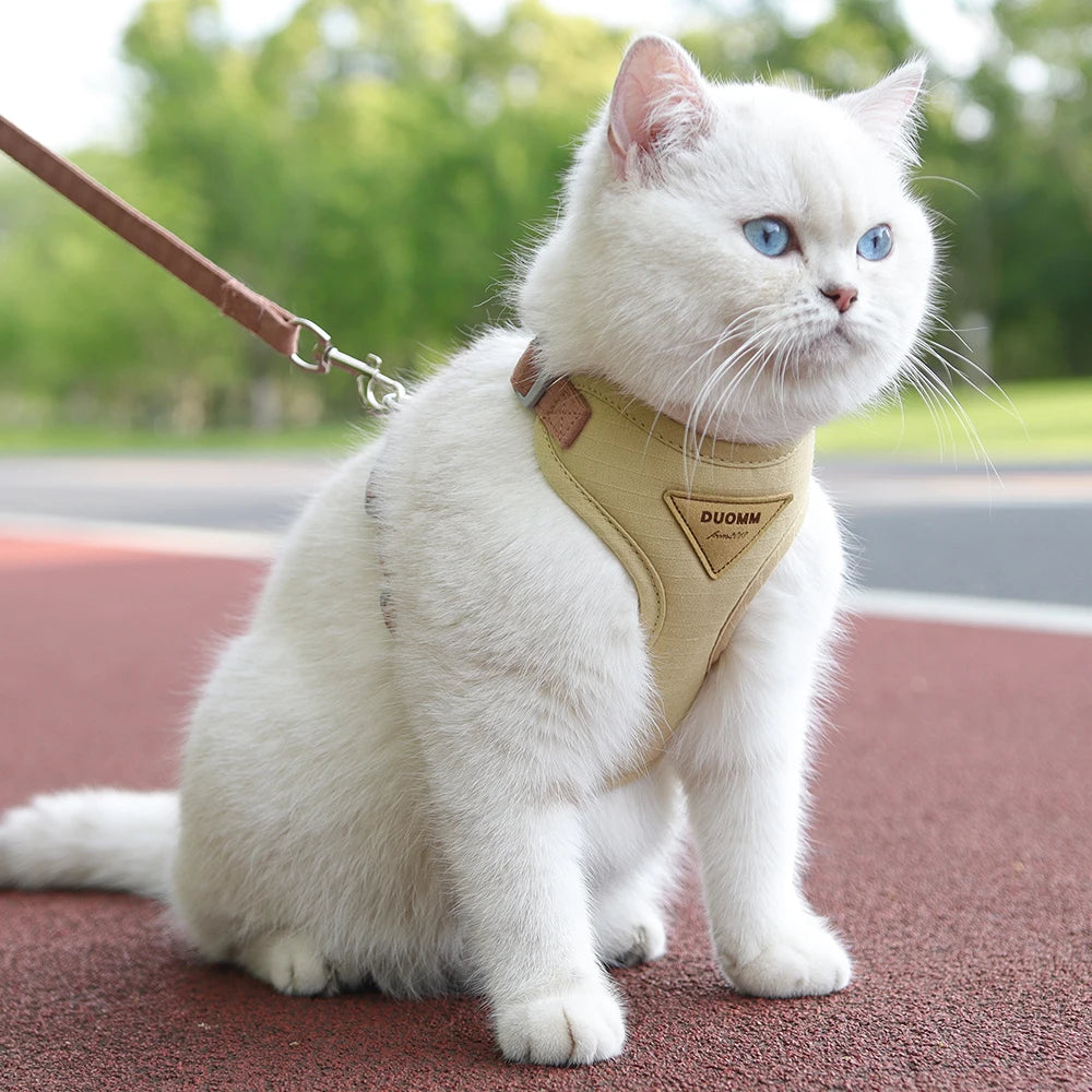 Cat Puppy Outdoor Walking Supplies Fashion Pet Harness and Leash Set f ...