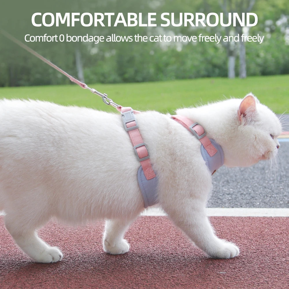 Cat Puppy Outdoor Walking Supplies Fashion Pet Harness and Leash Set f ...